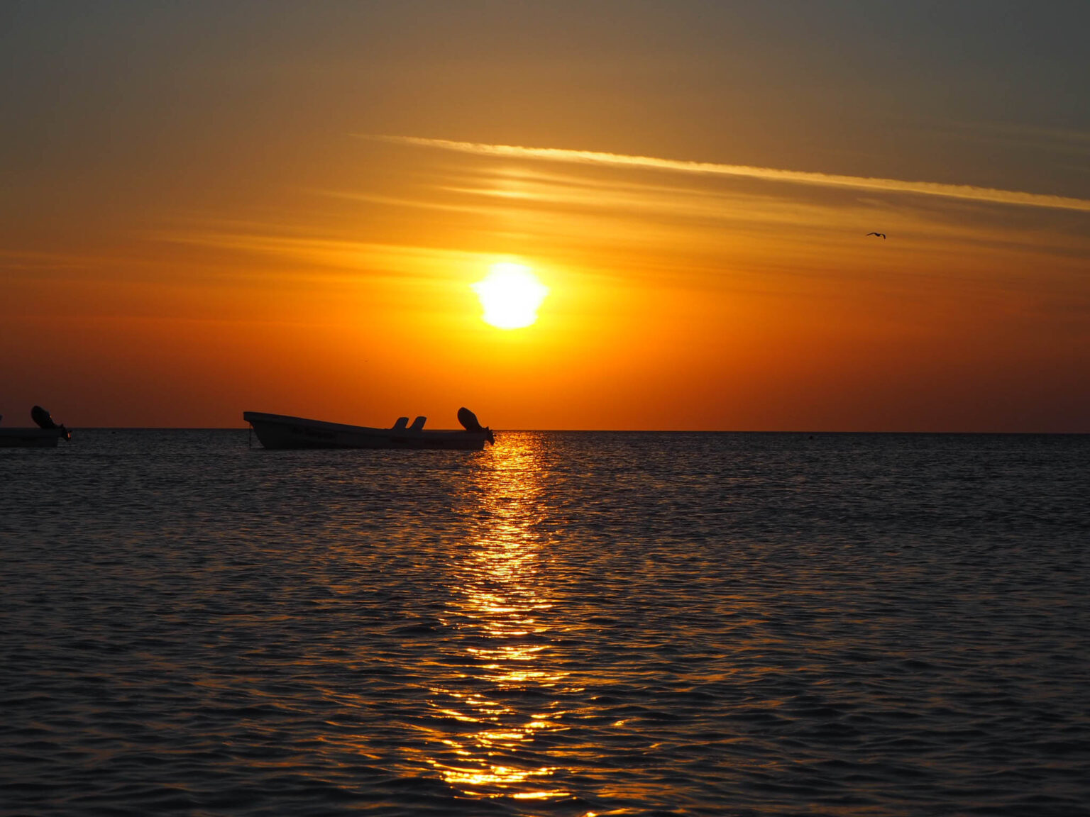 Tulum & Holbox 2-week itinerary: See the best and relax