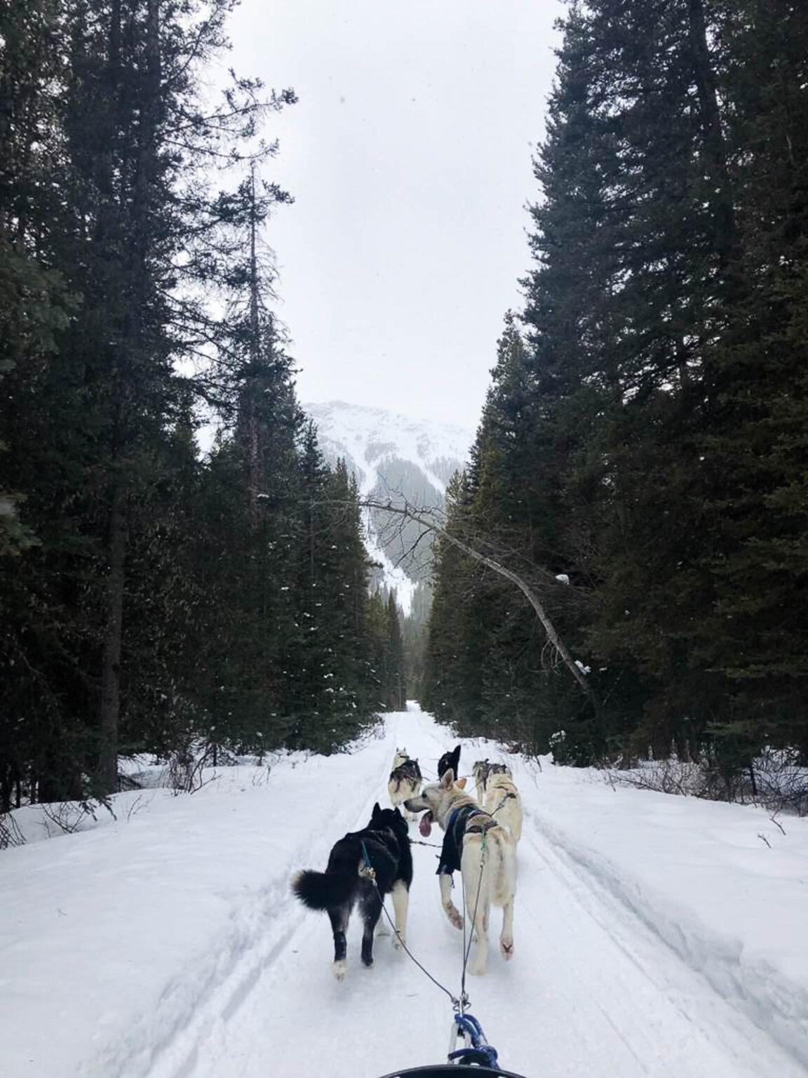 Banff winter bucket list: 5 amazing places to go & things to do