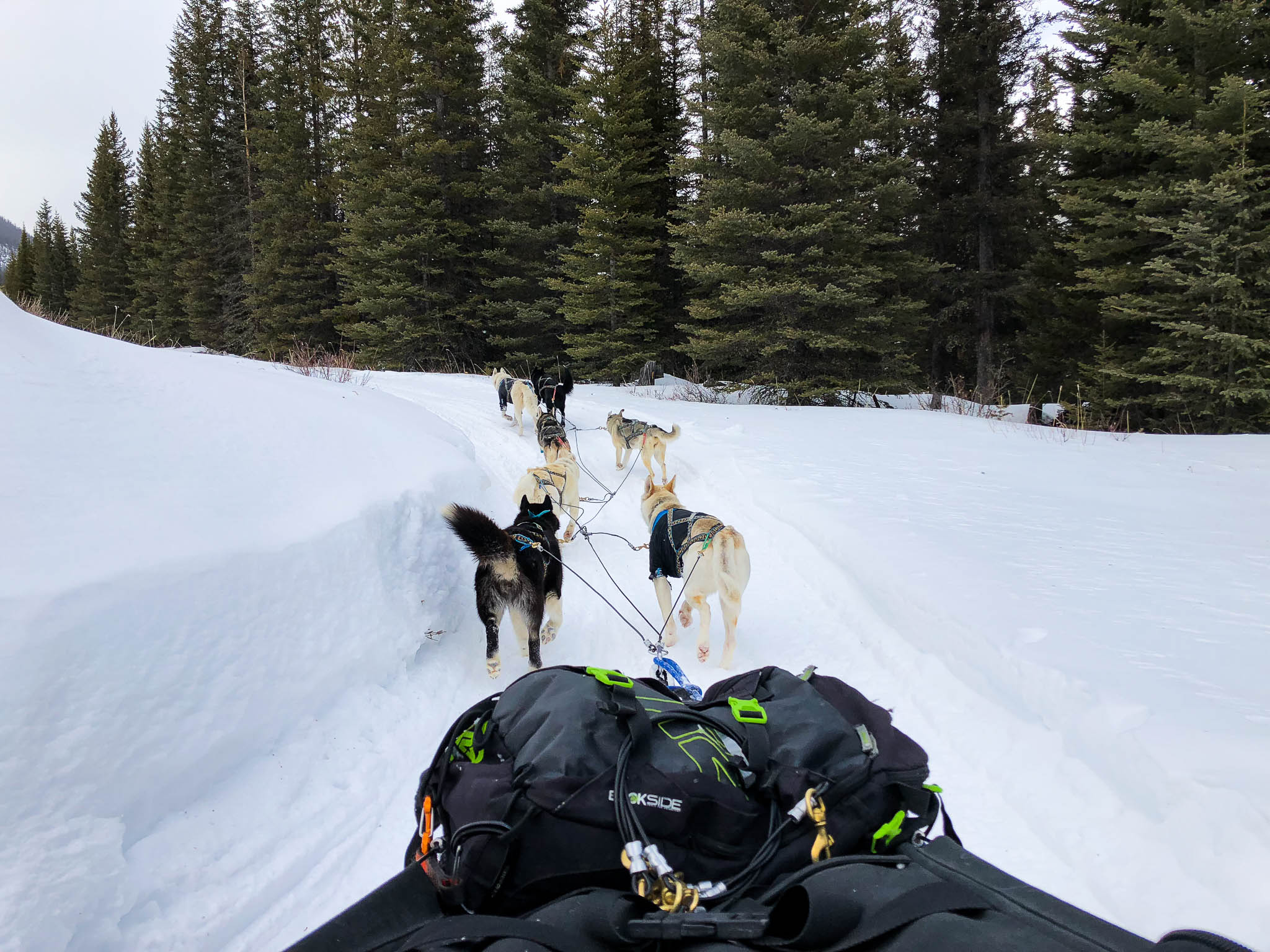 Banff winter bucket list: 5 amazing places to go & things to do