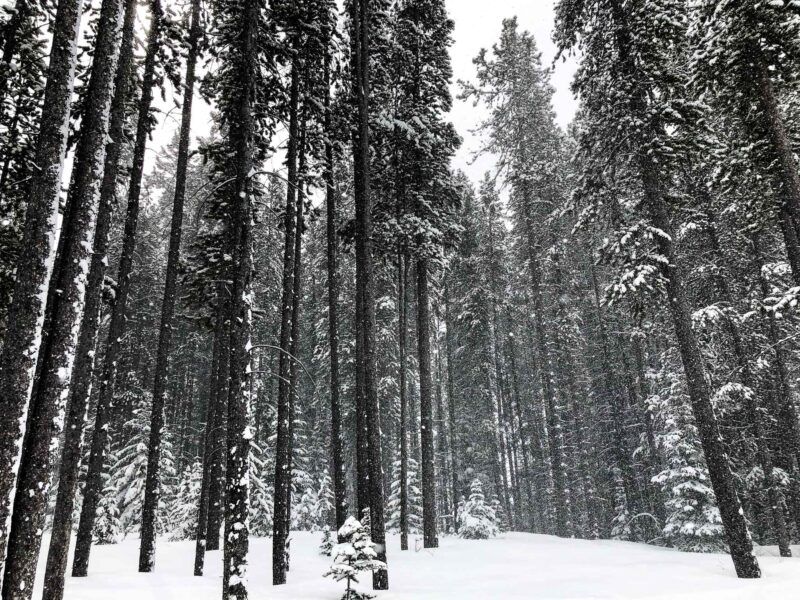 Travelling to Banff in March: Why go & what to expect | APOPLOUS